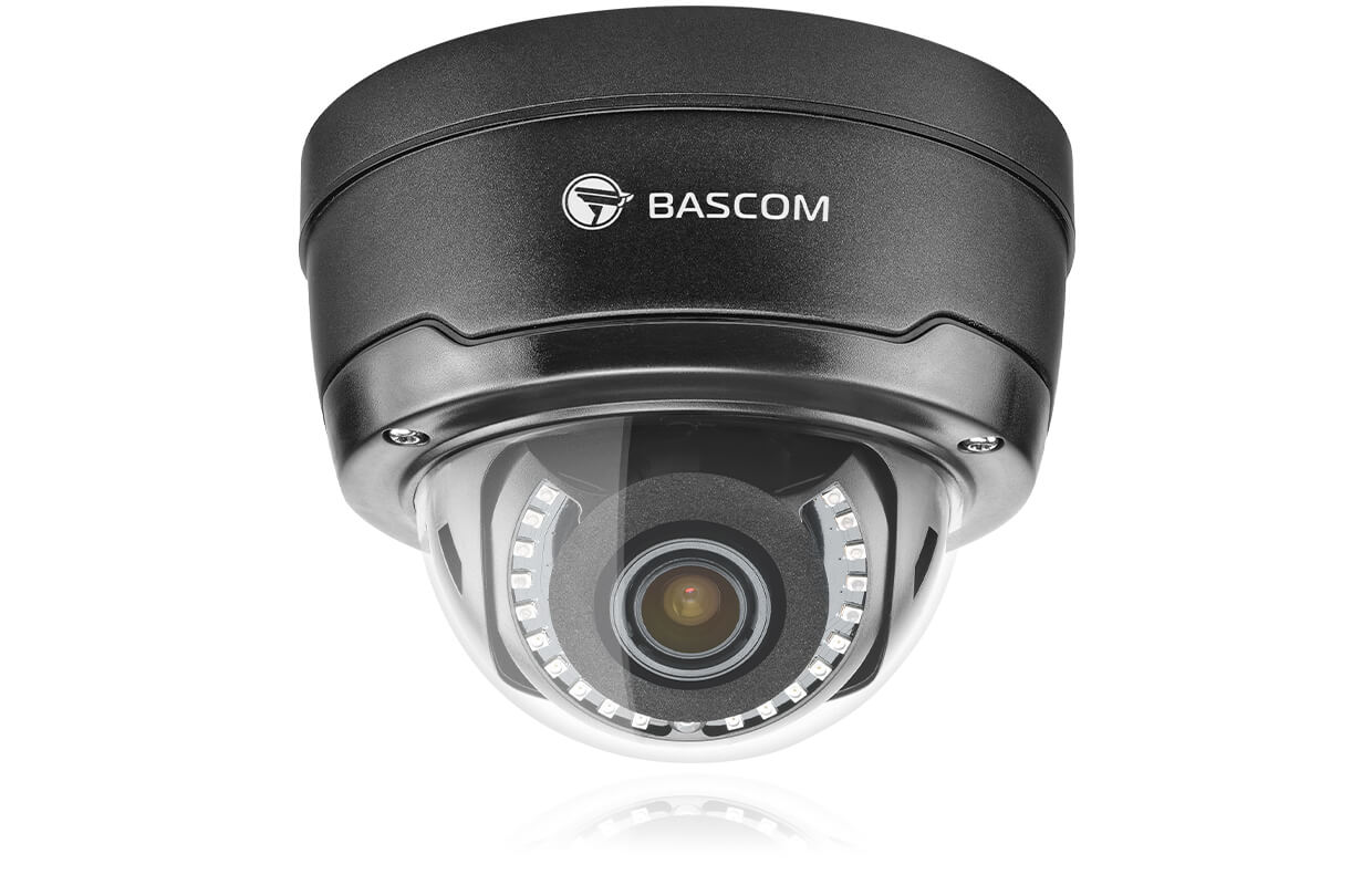 Caméra dôme sans fil PRO - Bascom